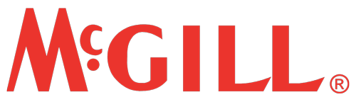 Enka Transmisyon – Rulman